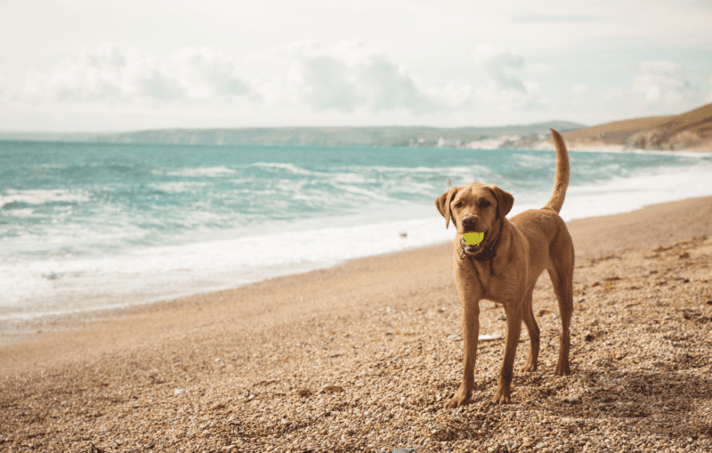 9 Things You Need to Prepare and Pack for Summer Family Vacation With ...